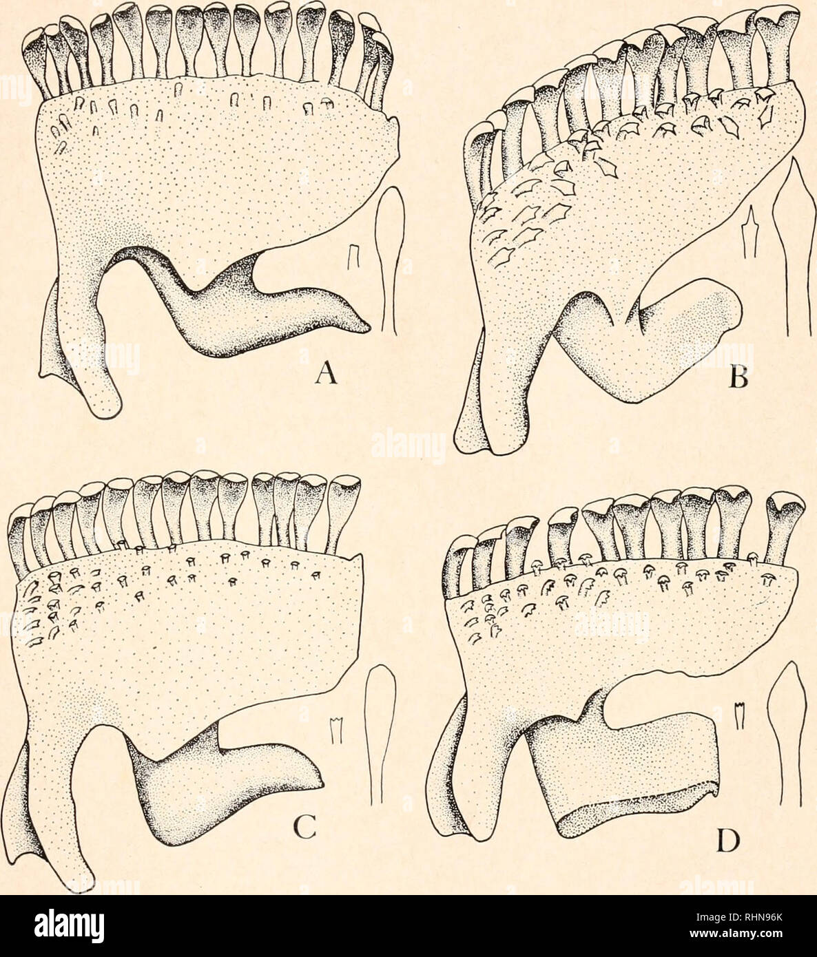 Lower indentation hi-res stock photography and images - Alamy