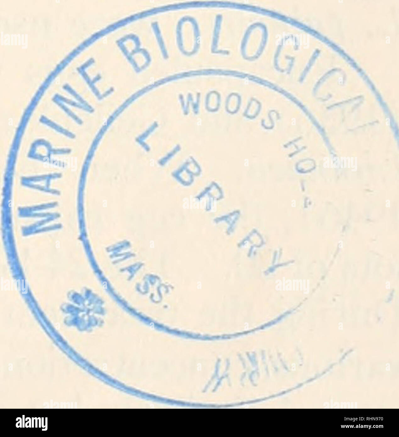 . The Biological bulletin. Biology; Zoology; Biology; Marine Biology ...