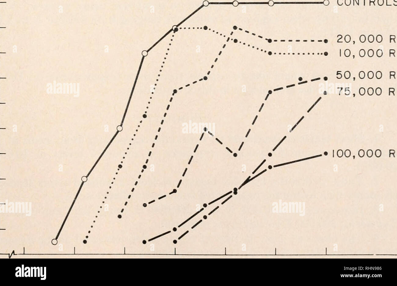 . The Biological bulletin. Biology; Zoology; Biology; Marine Biology. 7 ...