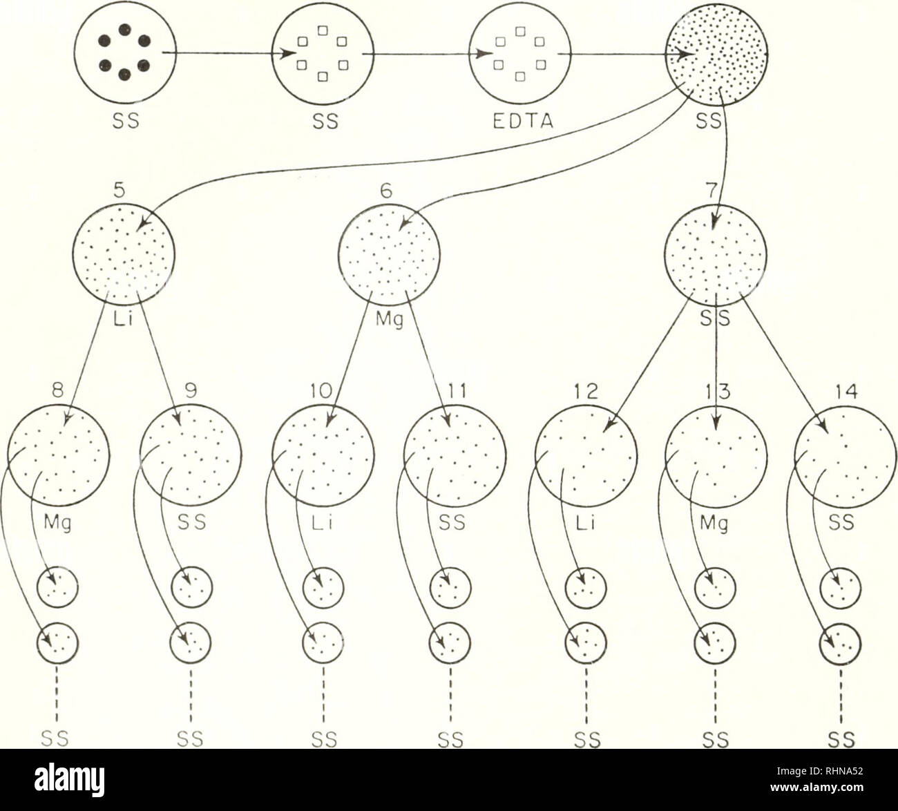 Kster hi-res stock photography and images - Alamy