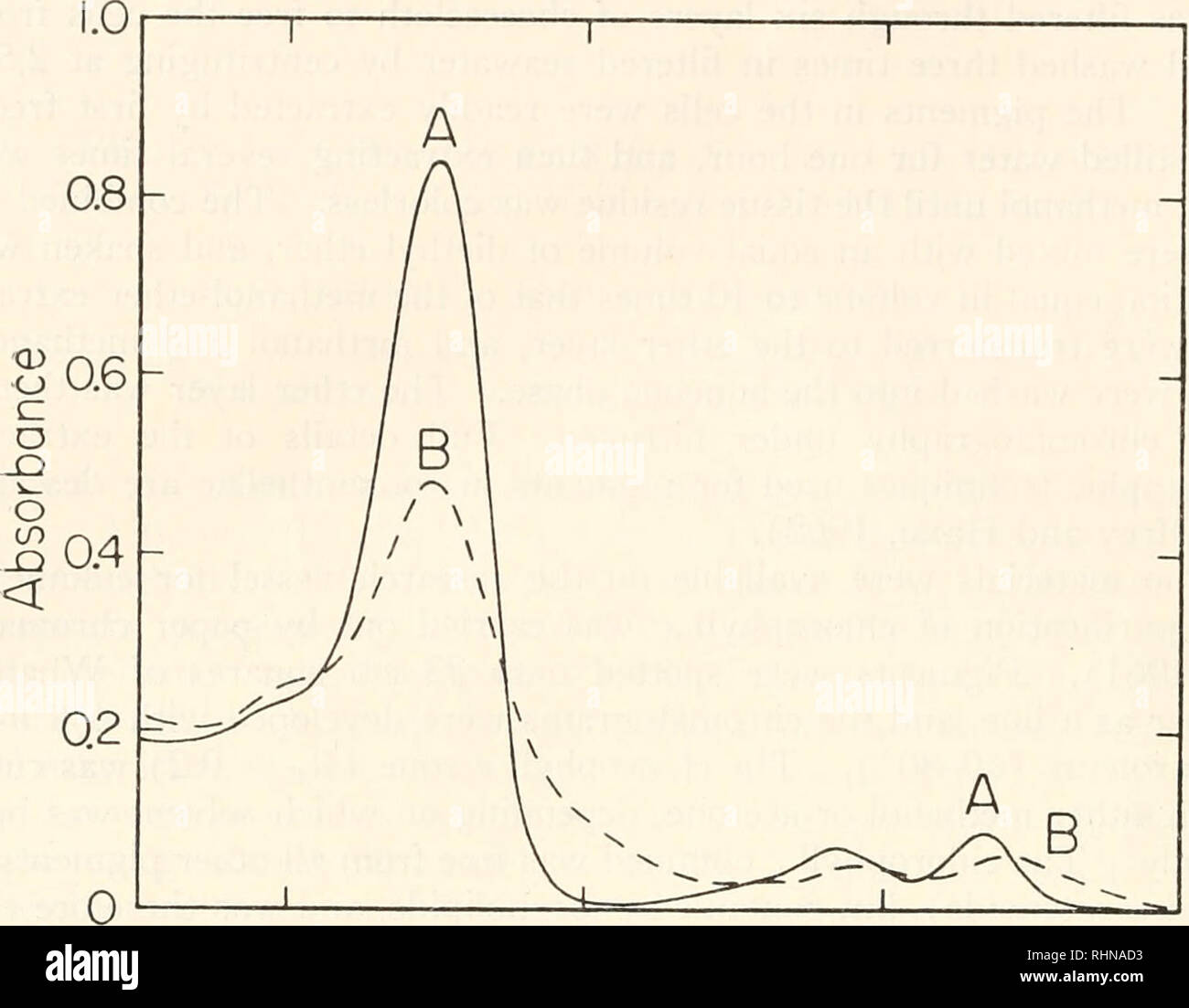 Chlorophyll Absorption Spectrum