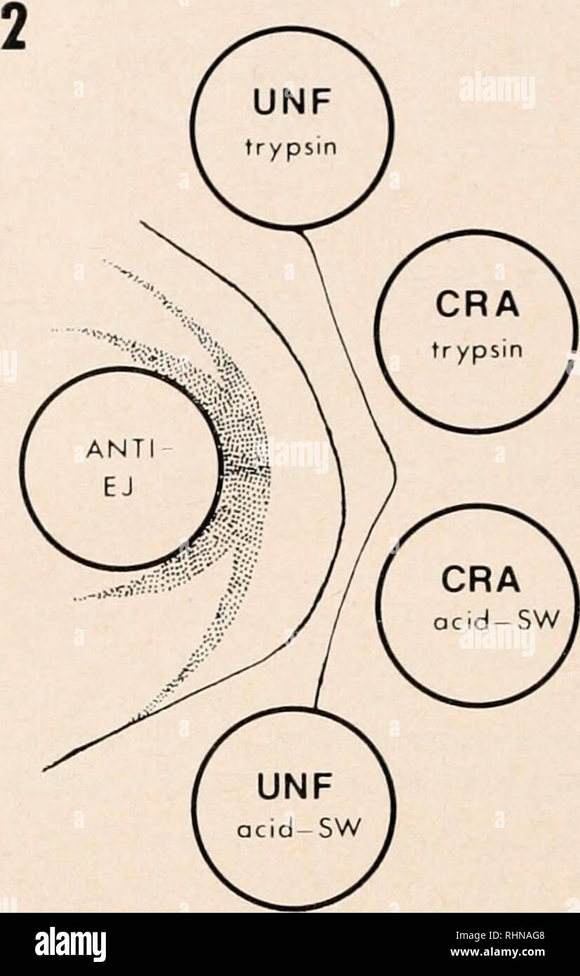 Water diffusion test hi-res stock photography and images - Alamy
