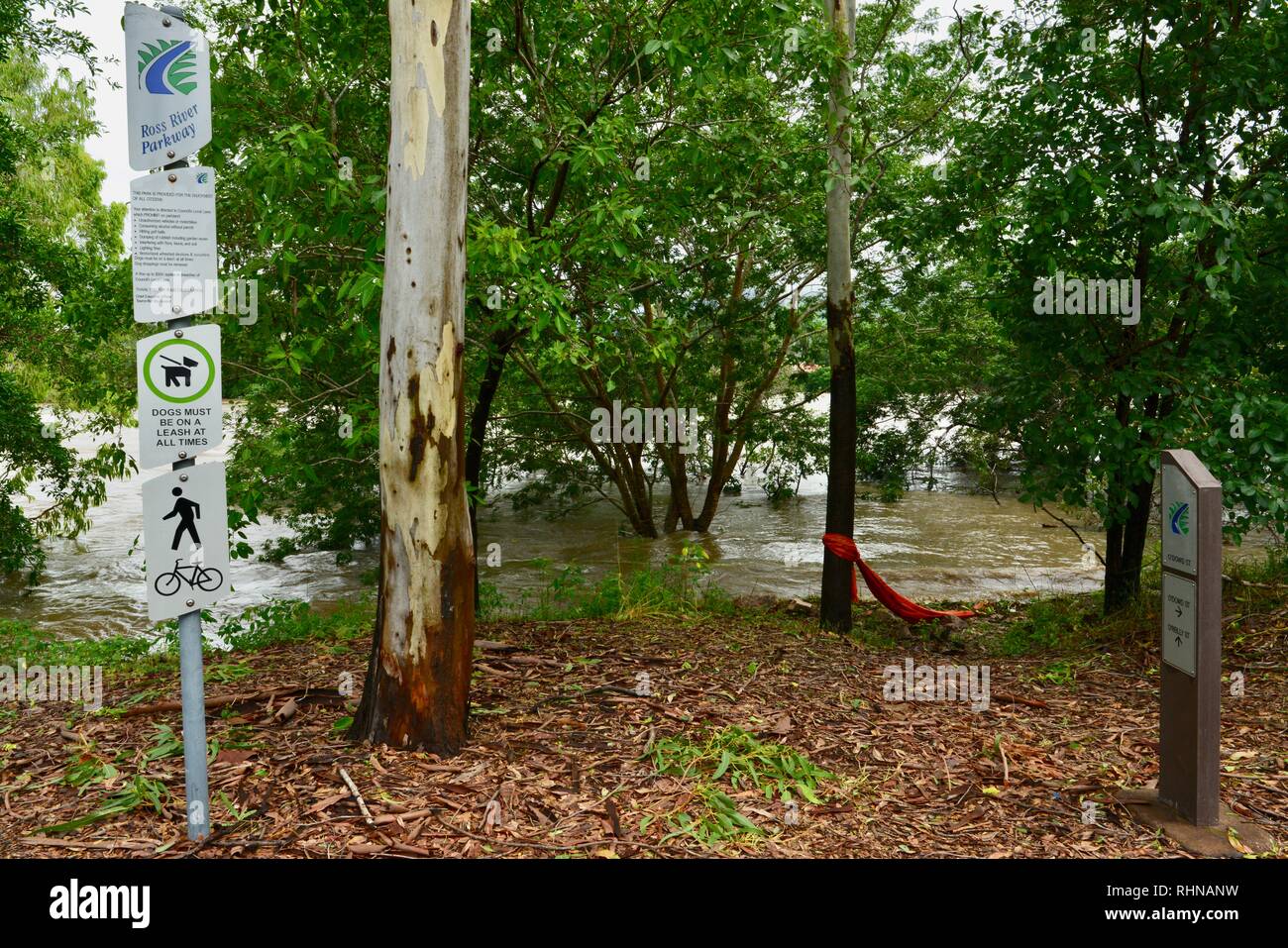 Ross river eroding the banks as flood water rage, Queensland, Australia ...