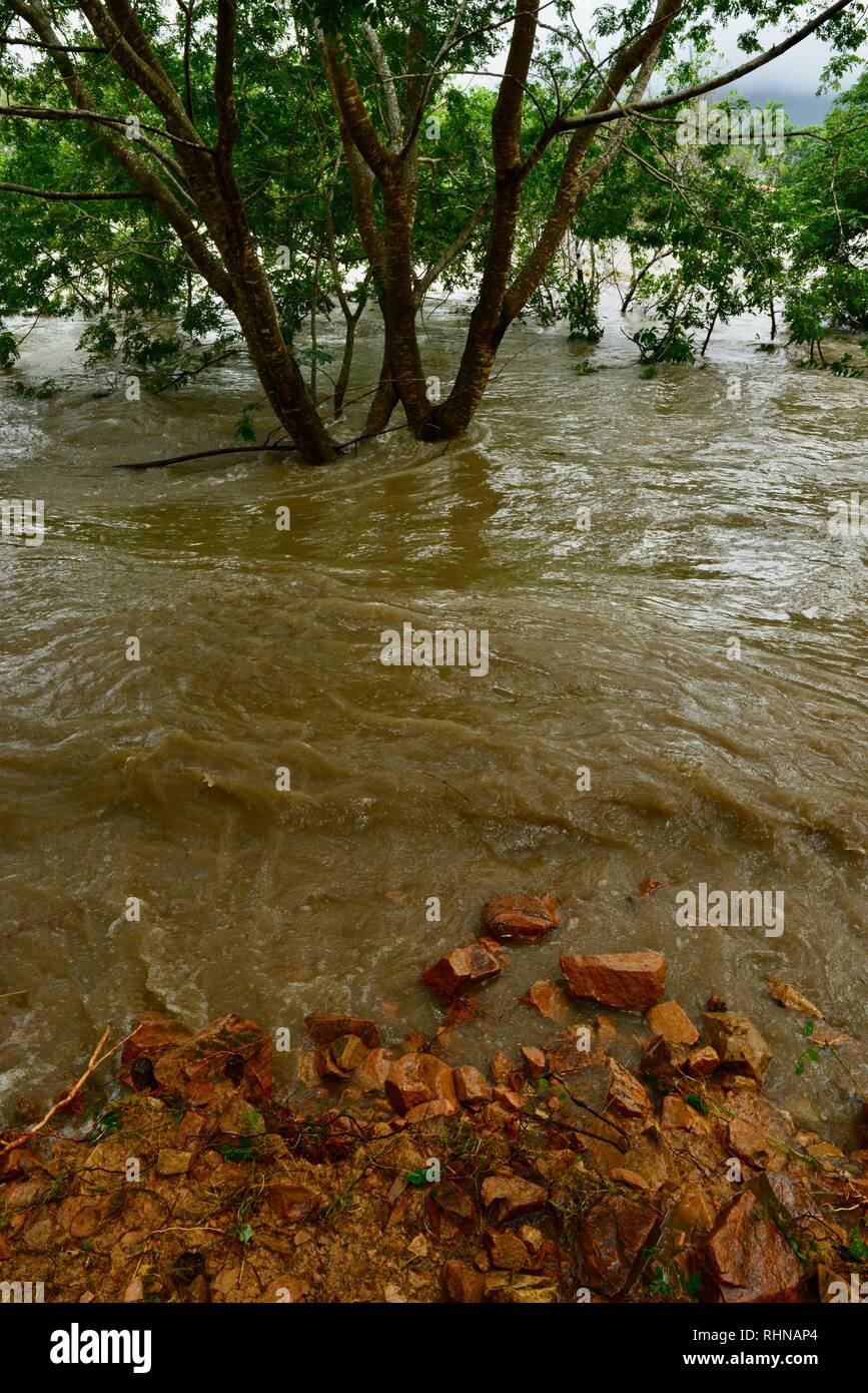 Ross river eroding the banks as flood water rage, Queensland, Australia ...