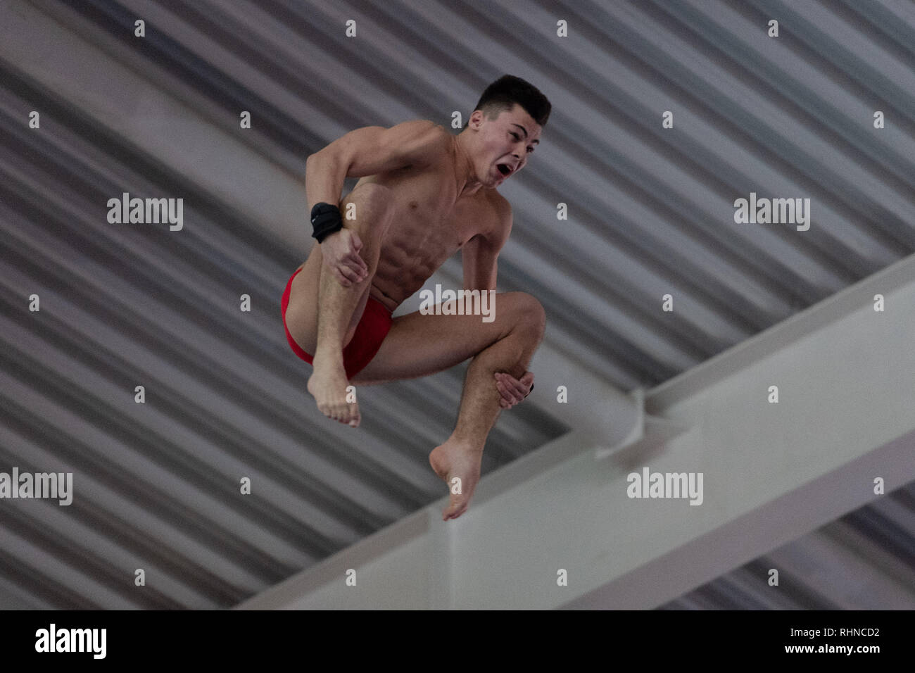 Synchro dog hi-res stock photography and images - Alamy