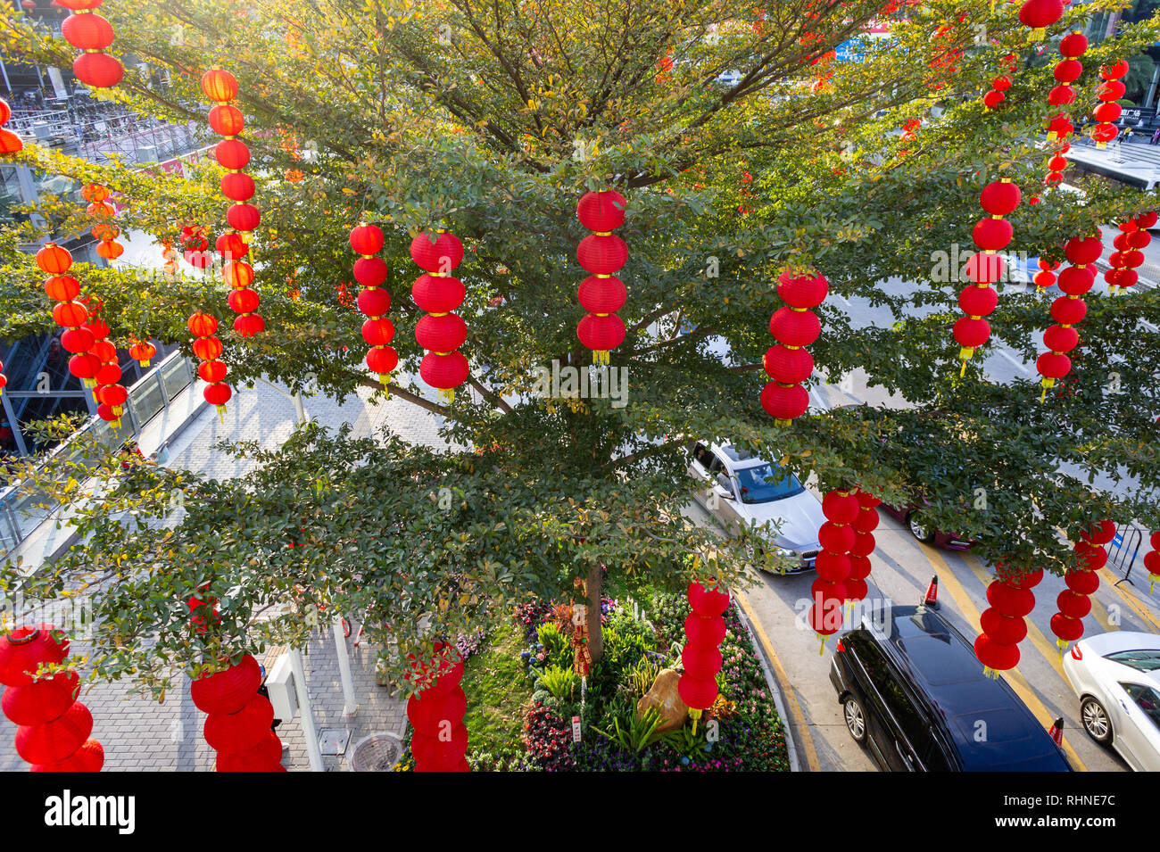 Red lanterns in trees from above for Chinese New Year in Shenzhen ...