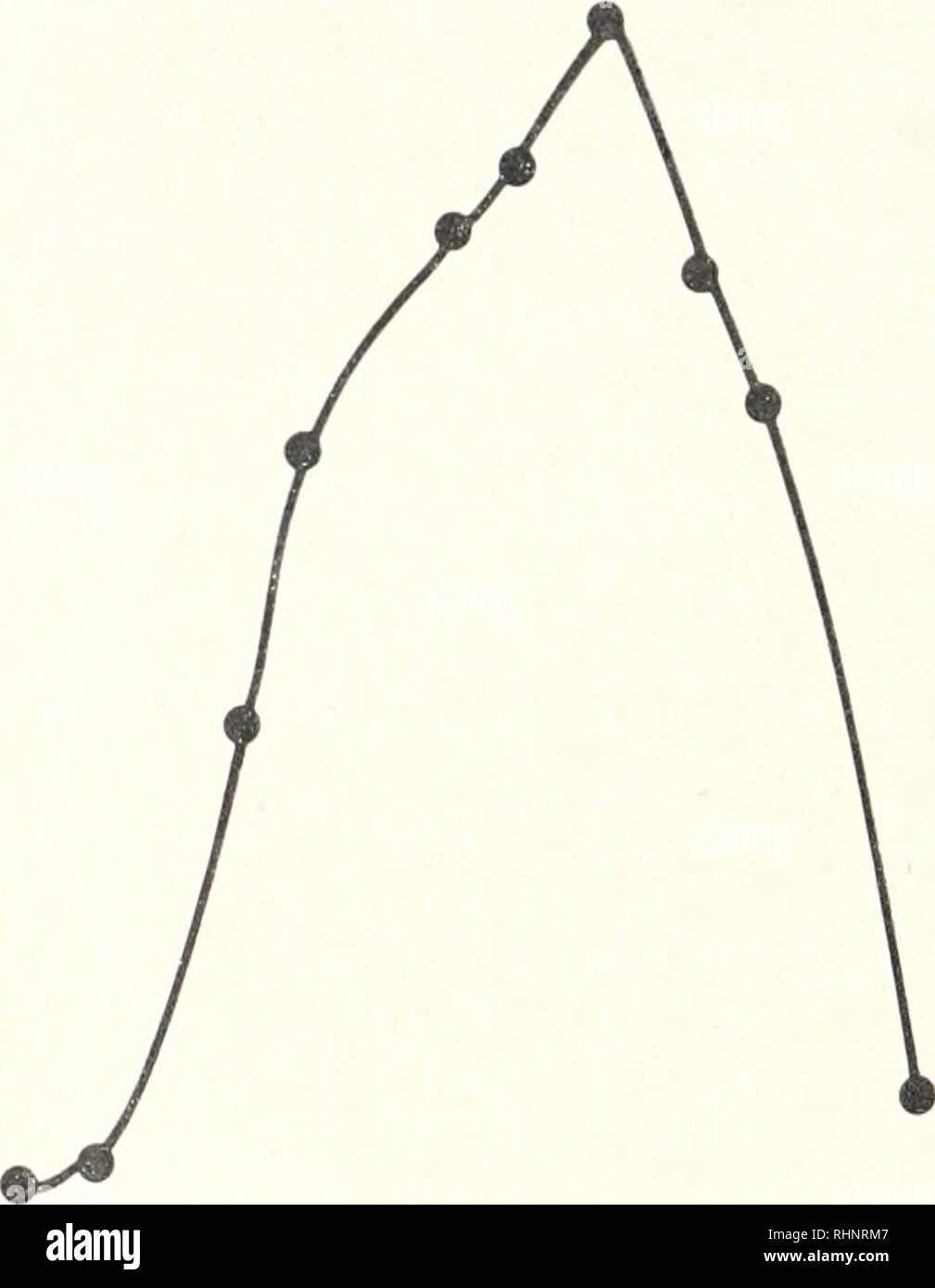 Cellobiose hi-res stock photography and images - Alamy