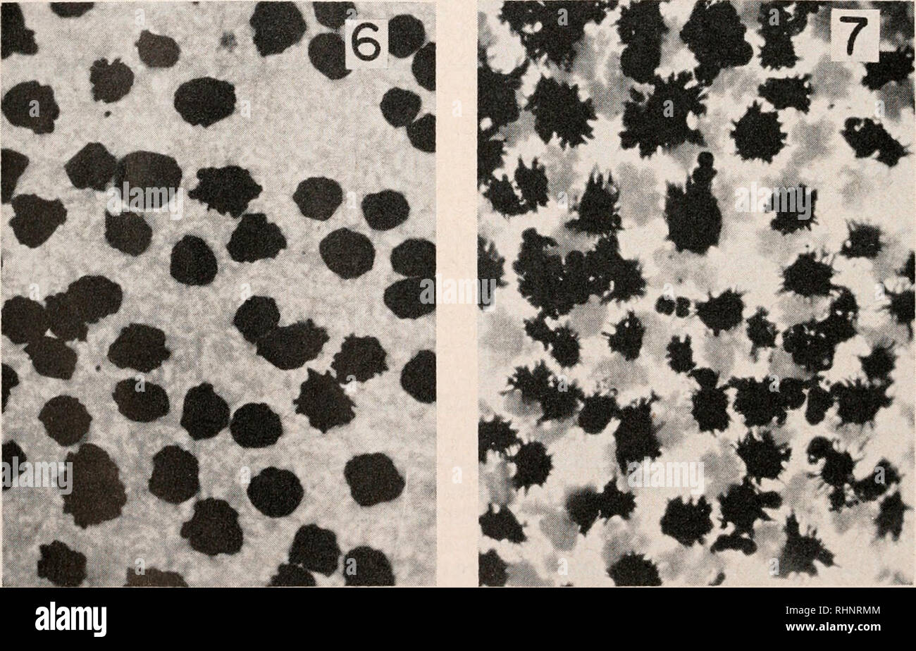 . The Biological bulletin. Biology; Zoology; Biology; Marine Biology ...