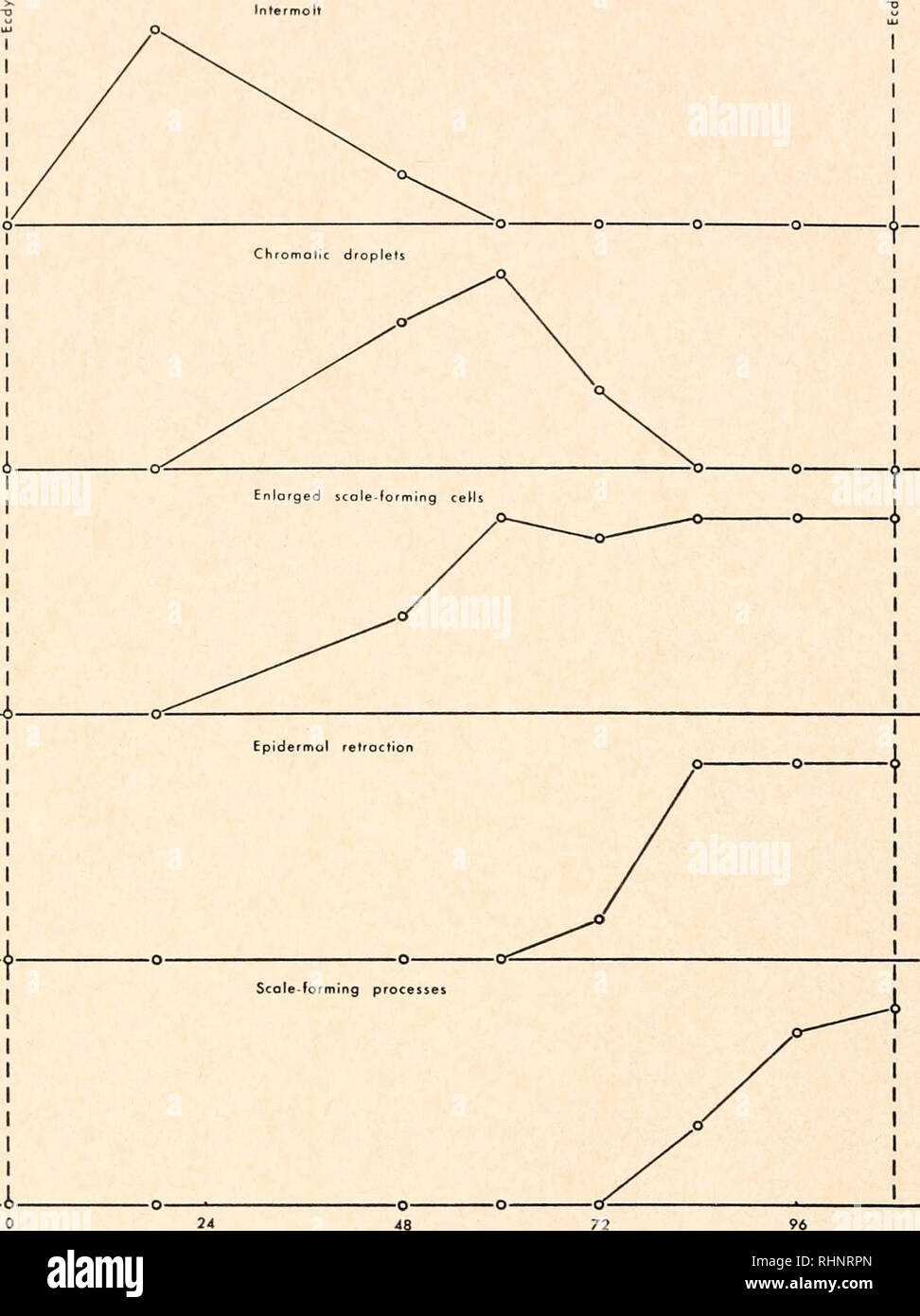 Molted scales hi-res stock photography and images - Alamy