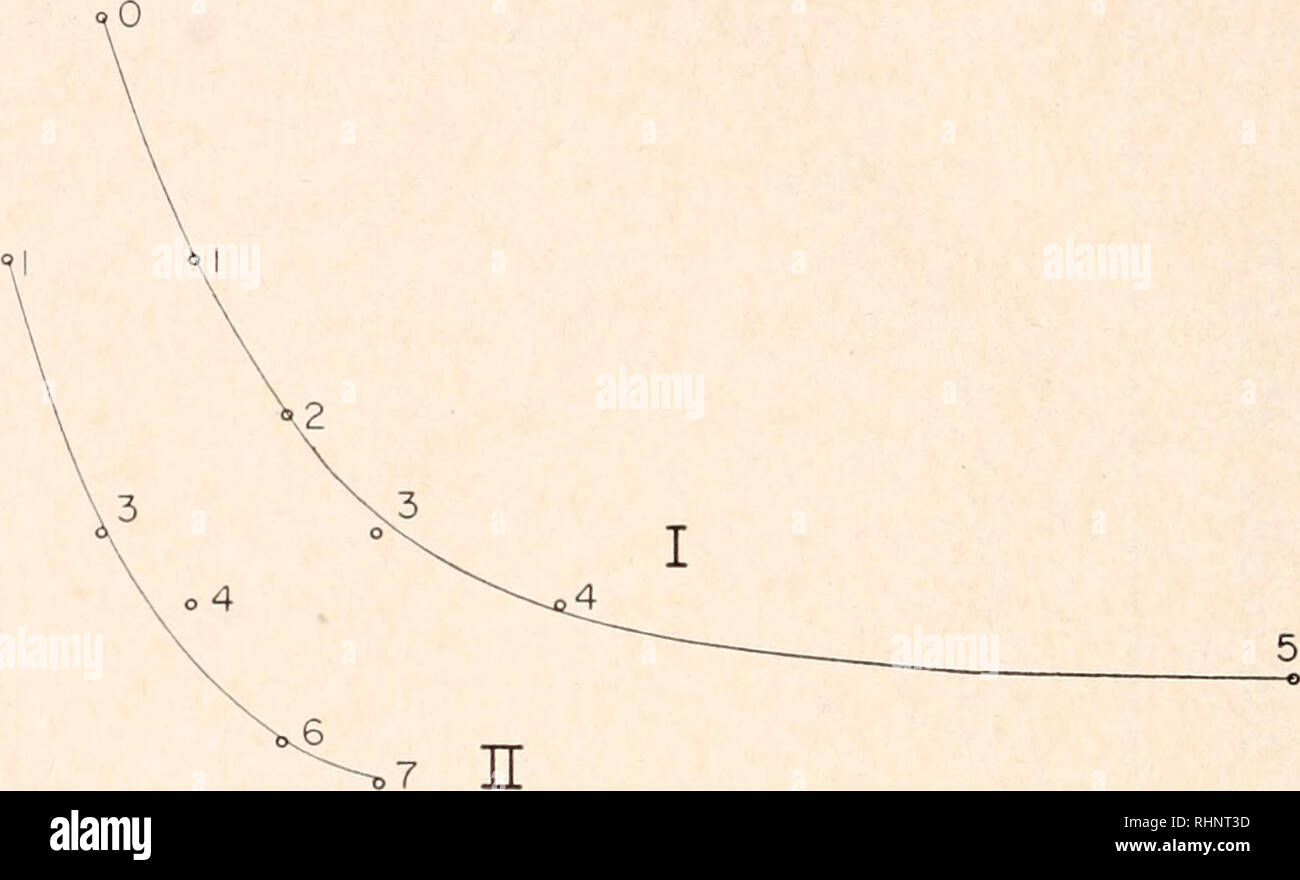 Dark adaptation curve hi-res stock photography and images - Alamy