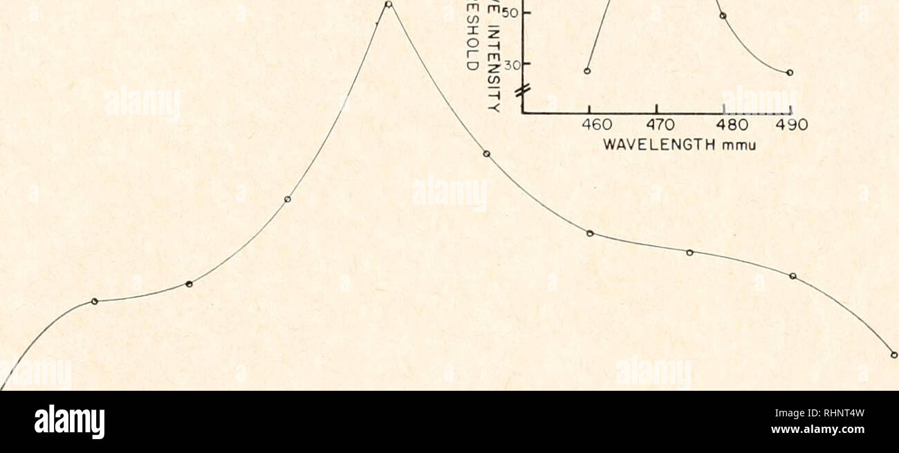 . The Biological bulletin. Biology; Zoology; Biology; Marine Biology ...