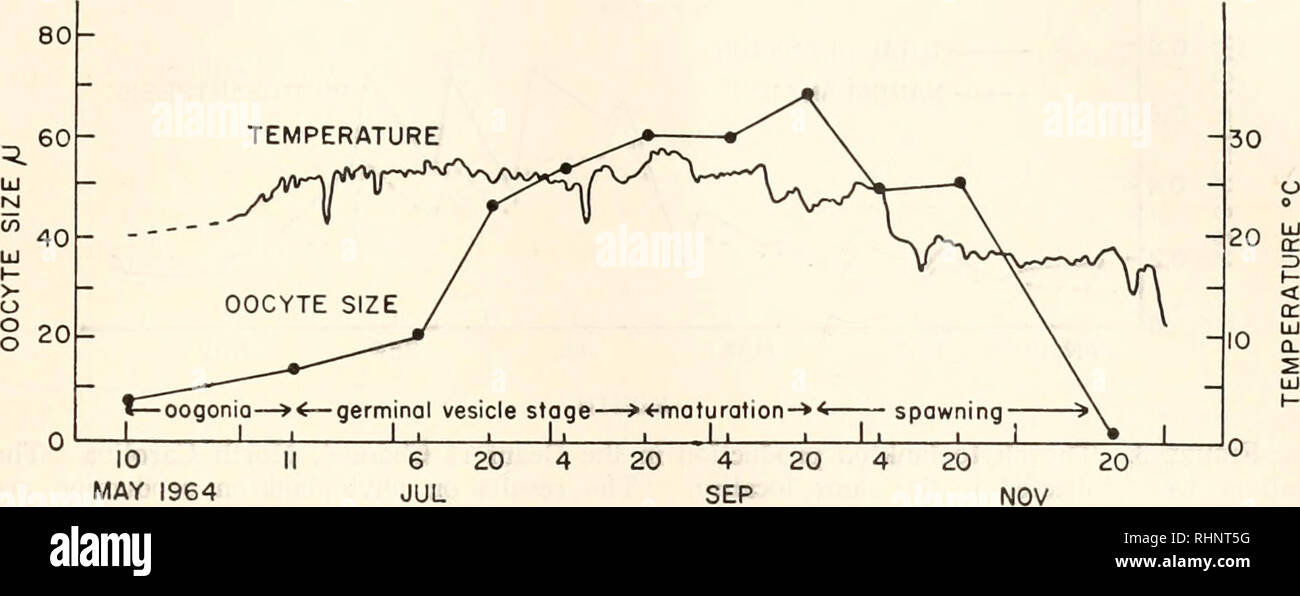 . The Biological bulletin. Biology; Zoology; Biology; Marine Biology ...