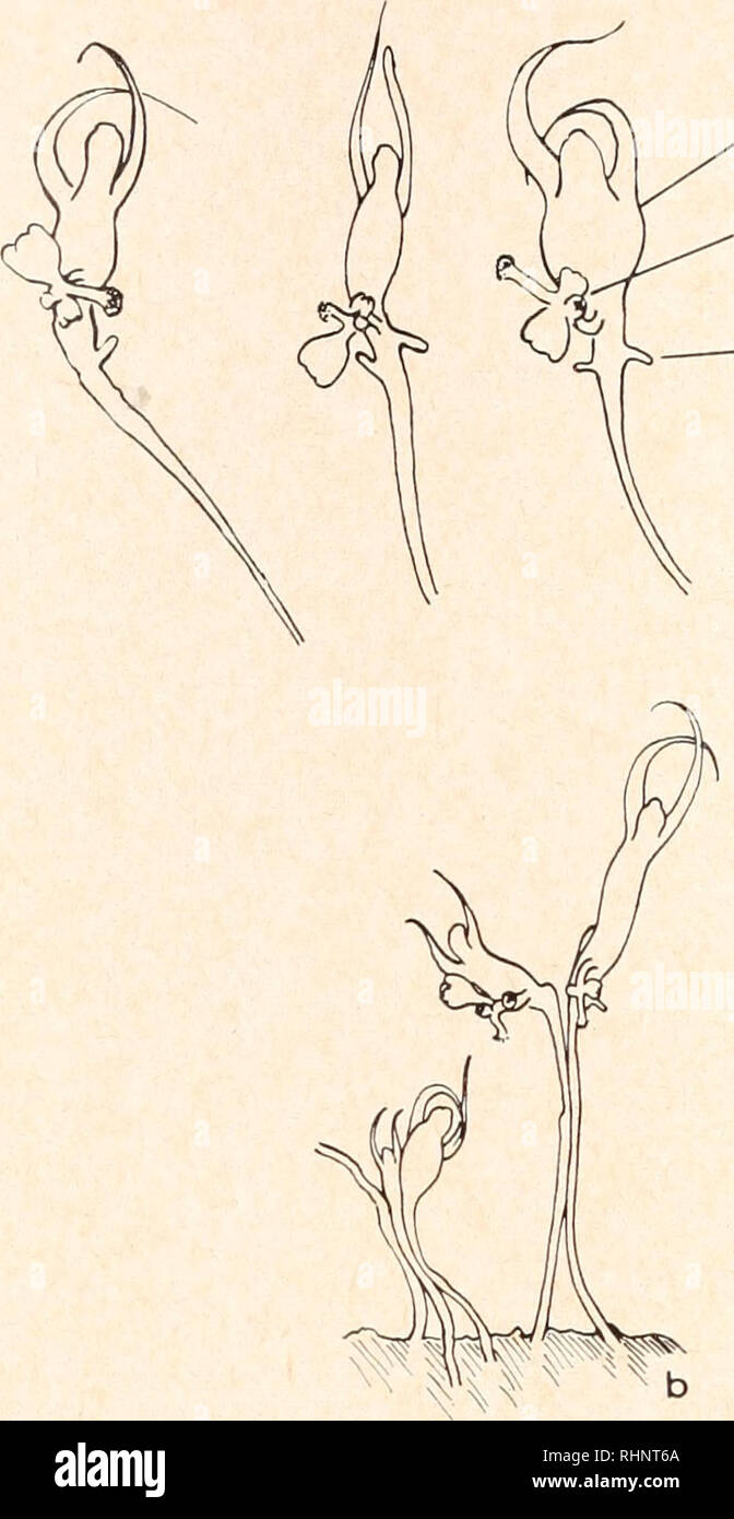 . The Biological bulletin. Biology; Zoology; Biology; Marine Biology ...