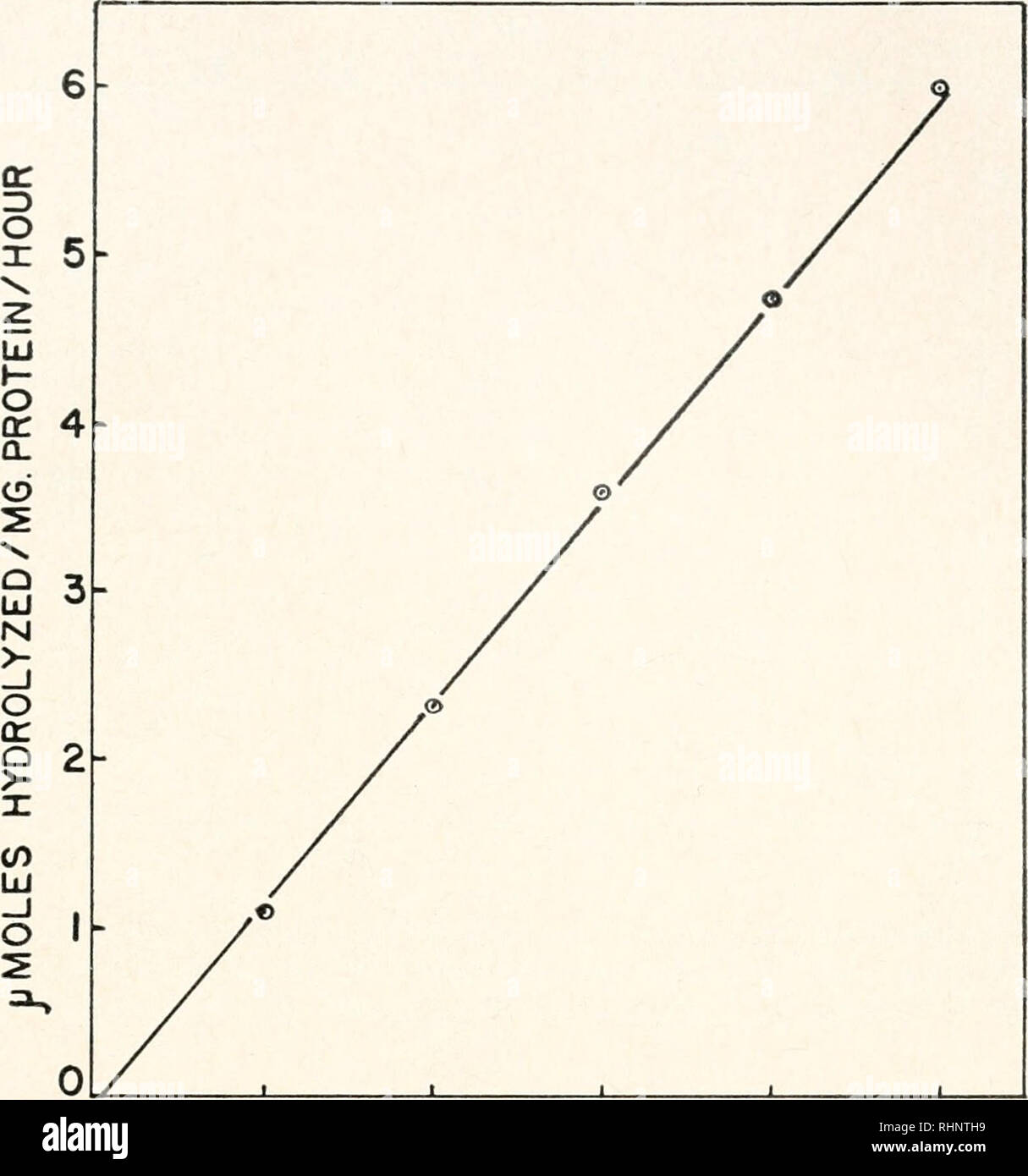 Enzyme assay buffer hi-res stock photography and images - Alamy