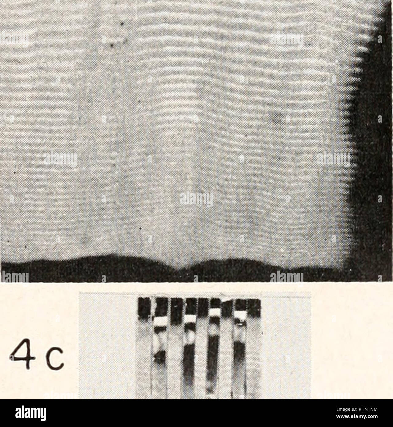 . The Biological bulletin. Biology; Zoology; Biology; Marine Biology ...
