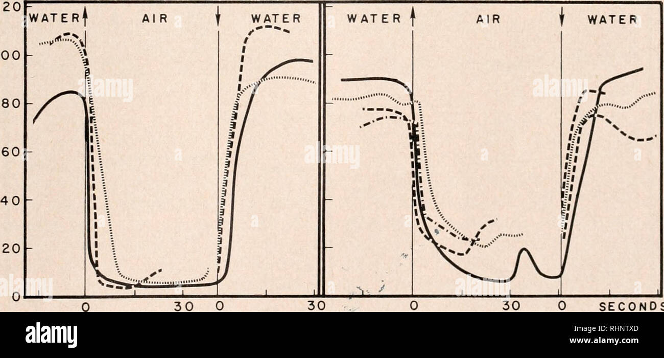 Grunion eggs hi-res stock photography and images - Alamy