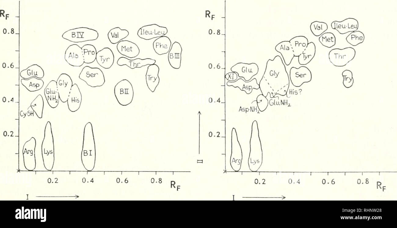 Coelomic fluid hi-res stock photography and images - Alamy