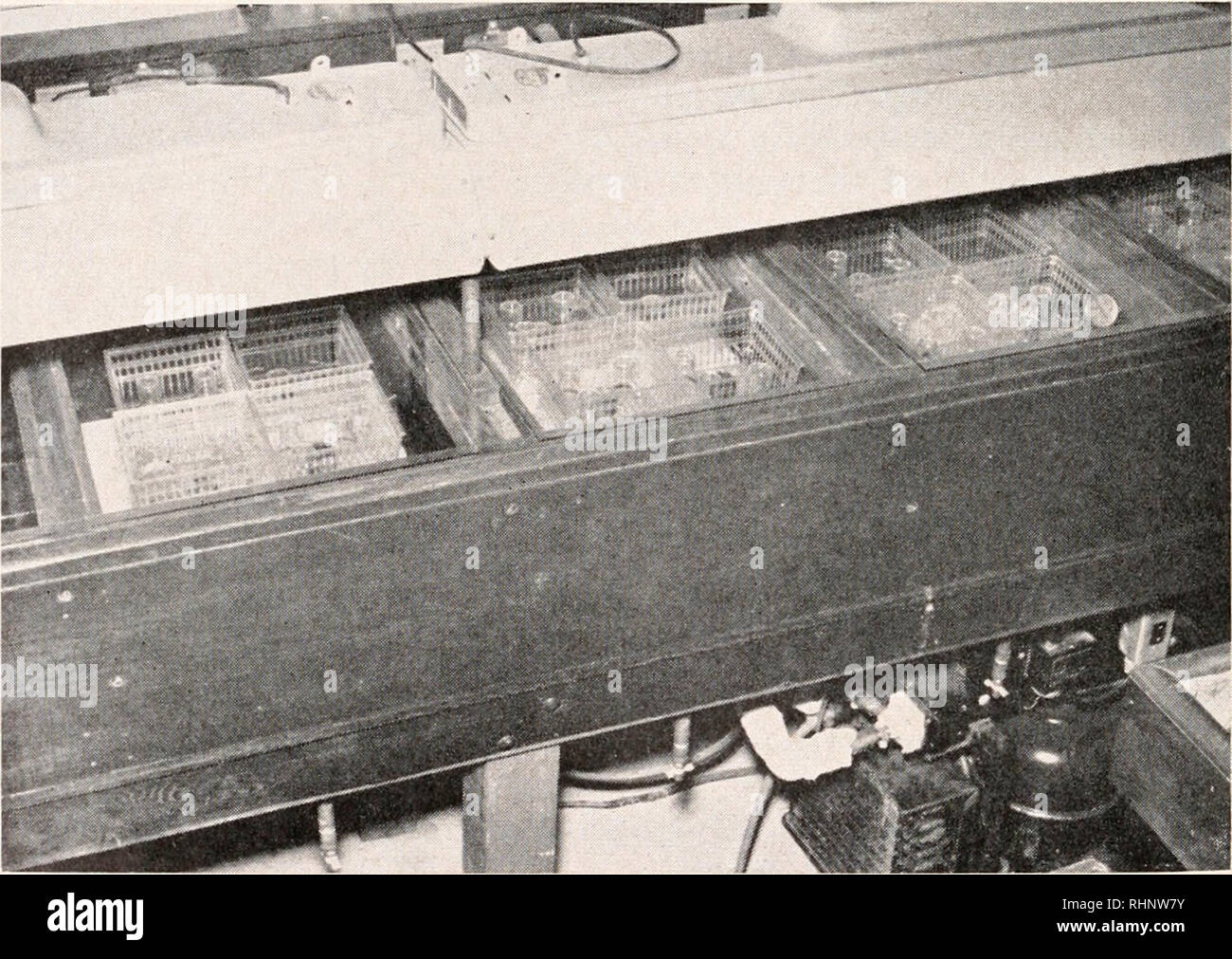 Amphiprora hi-res stock photography and images - Alamy