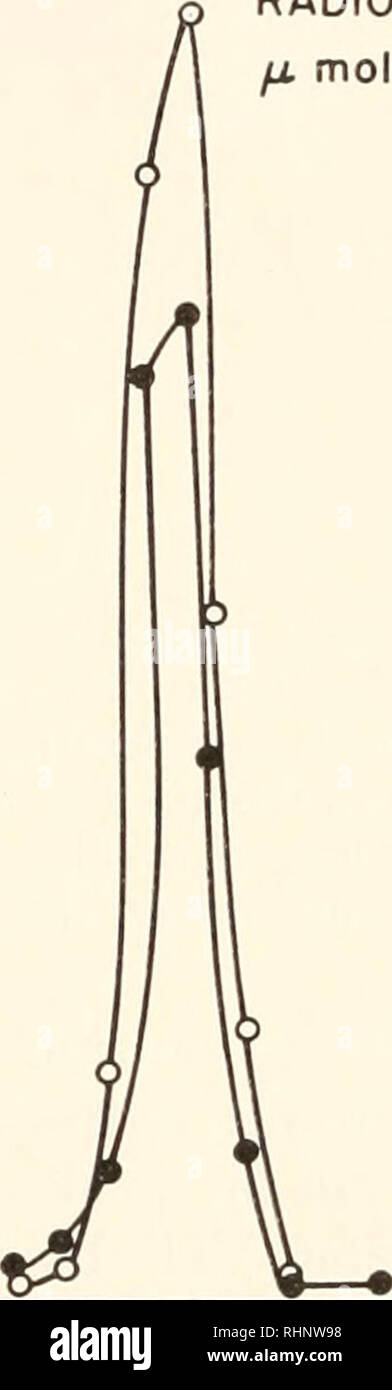 Radioactive compounds hi-res stock photography and images - Alamy