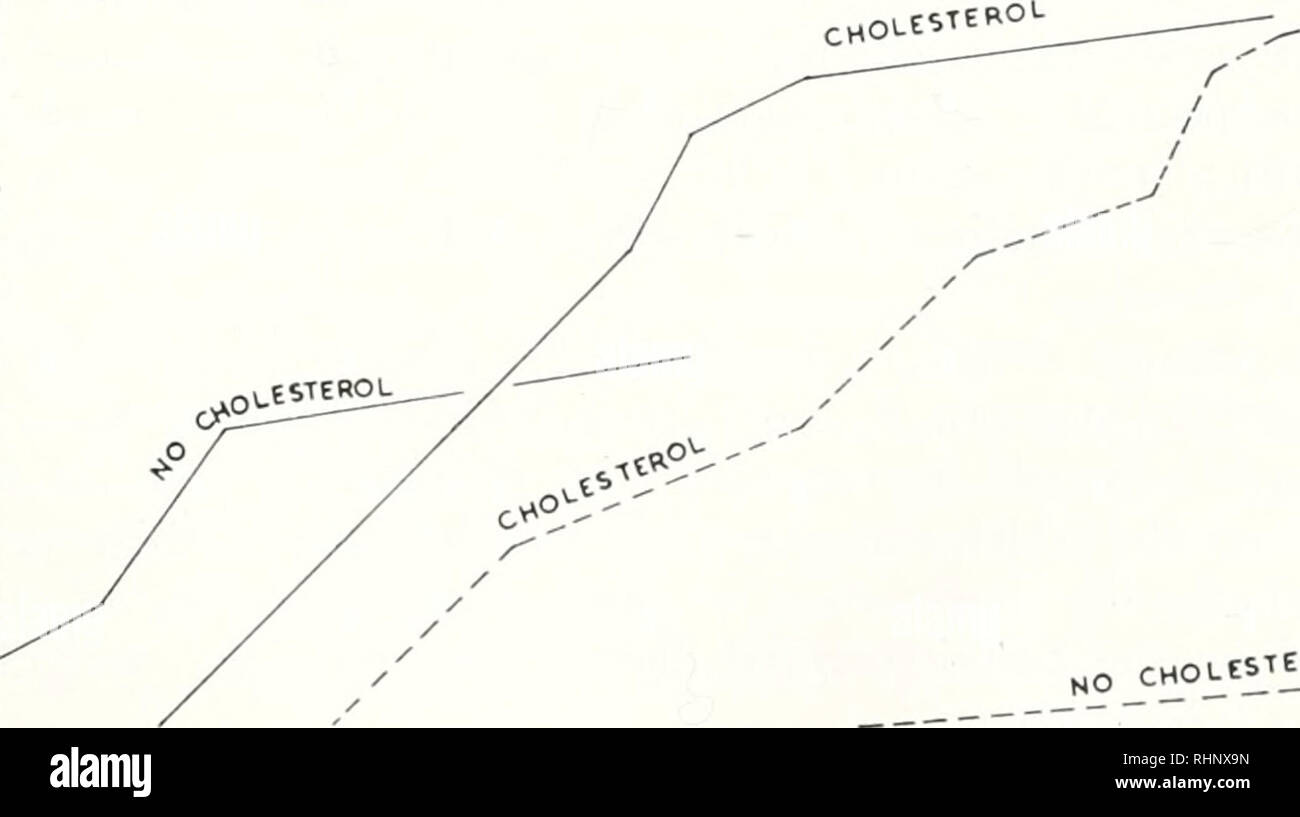 Symbiont io hi-res stock photography and images - Alamy