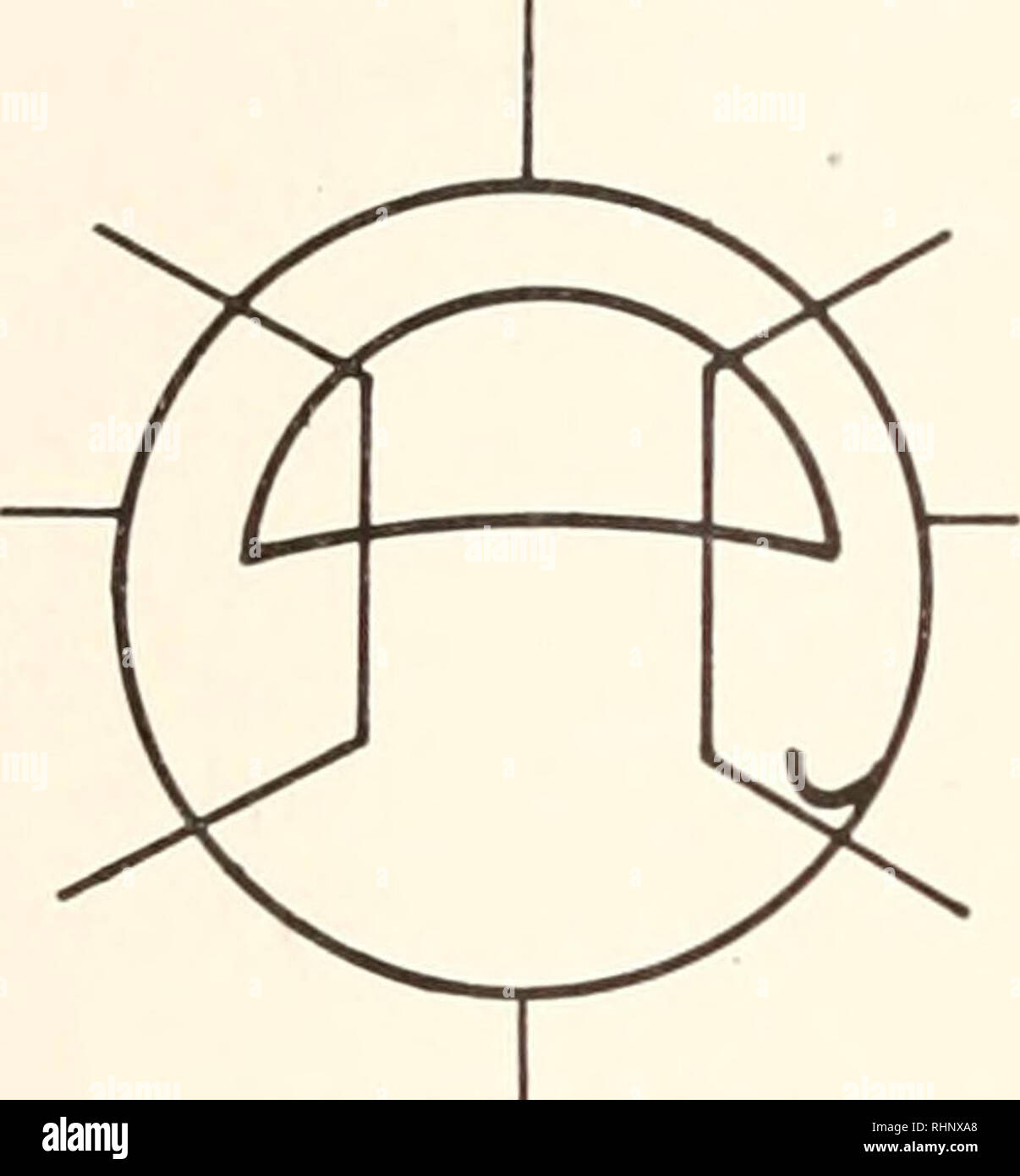 . The Biological bulletin. Biology; Zoology; Biology; Marine Biology ...