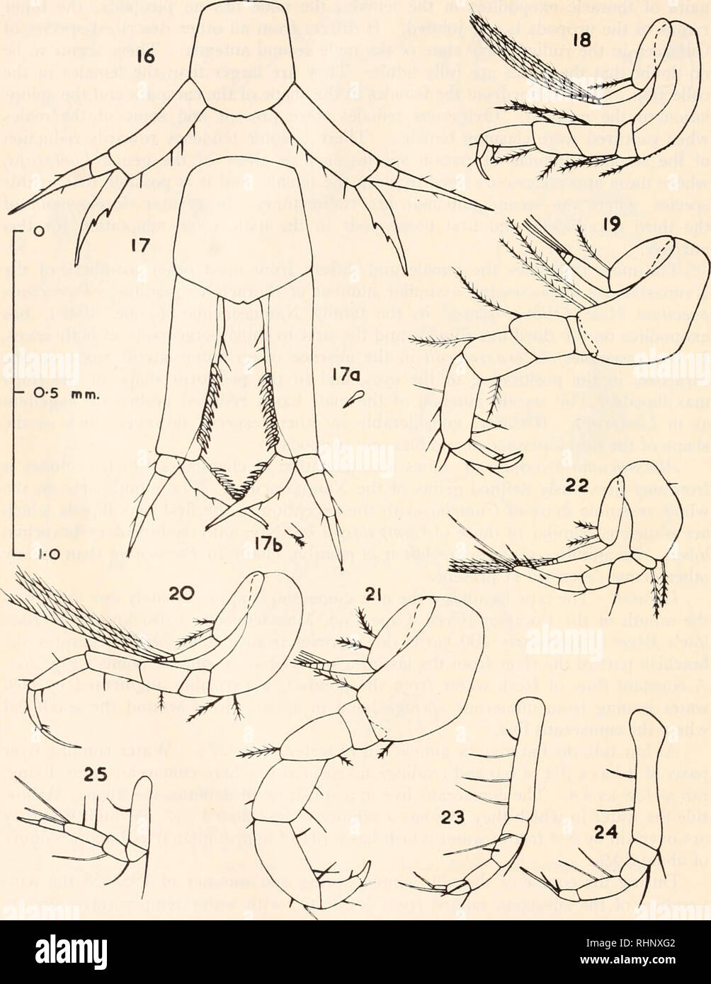 . The Biological bulletin. Biology; Zoology; Biology; Marine Biology ...