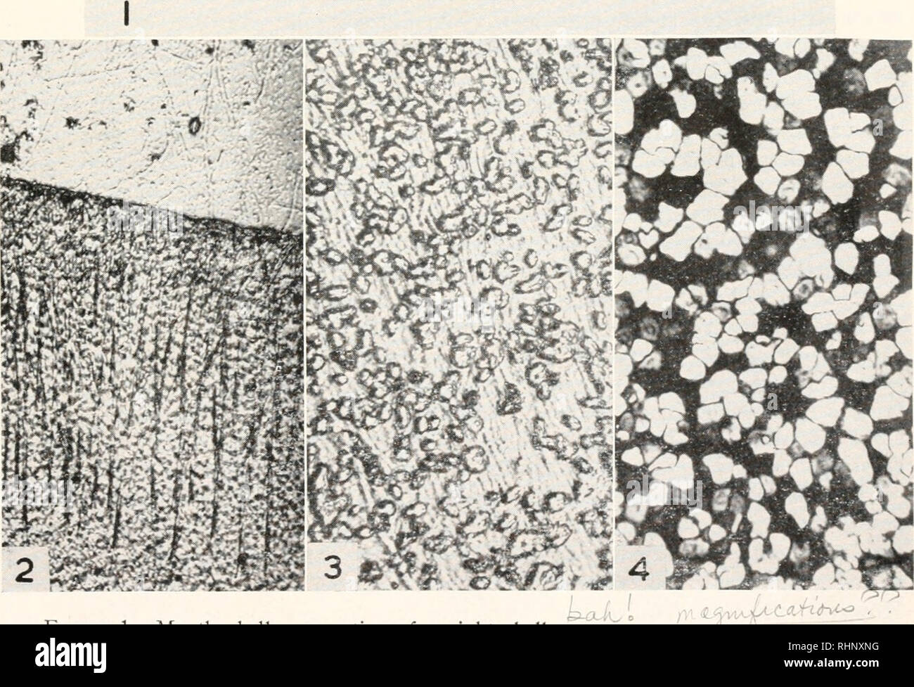 Polarizing microscope hi-res stock photography and images - Alamy