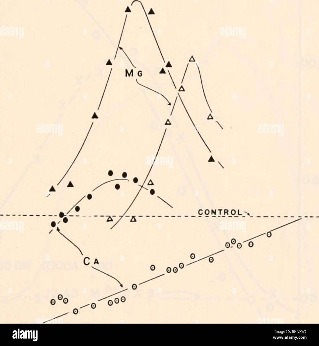 Divalent cations hi-res stock photography and images - Alamy