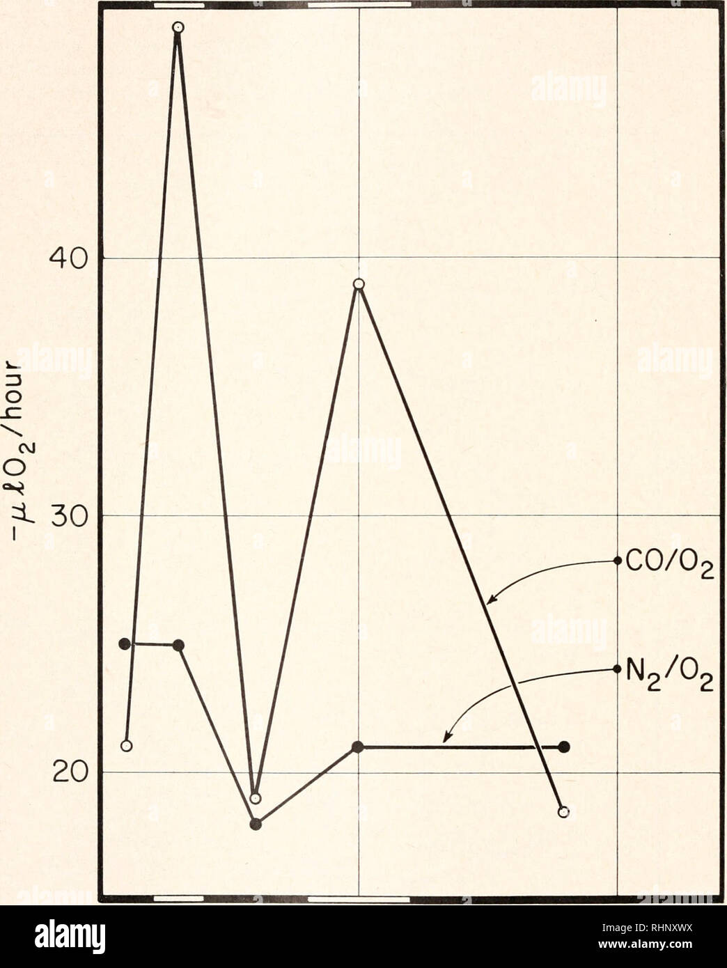 Oxygen uptake hi-res stock photography and images - Alamy