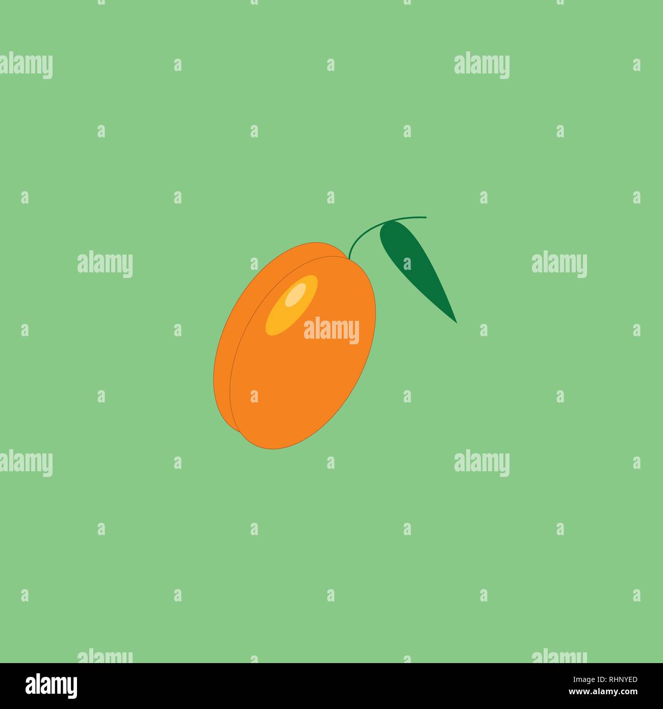 Yellow apricot on the neon green background Stock Vector Image & Art ...