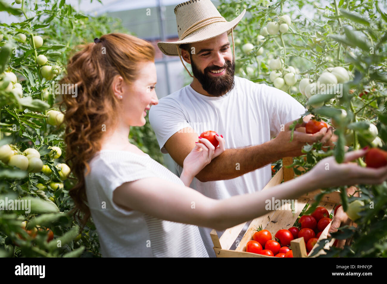 Happy farm hi-res stock photography and images - Alamy