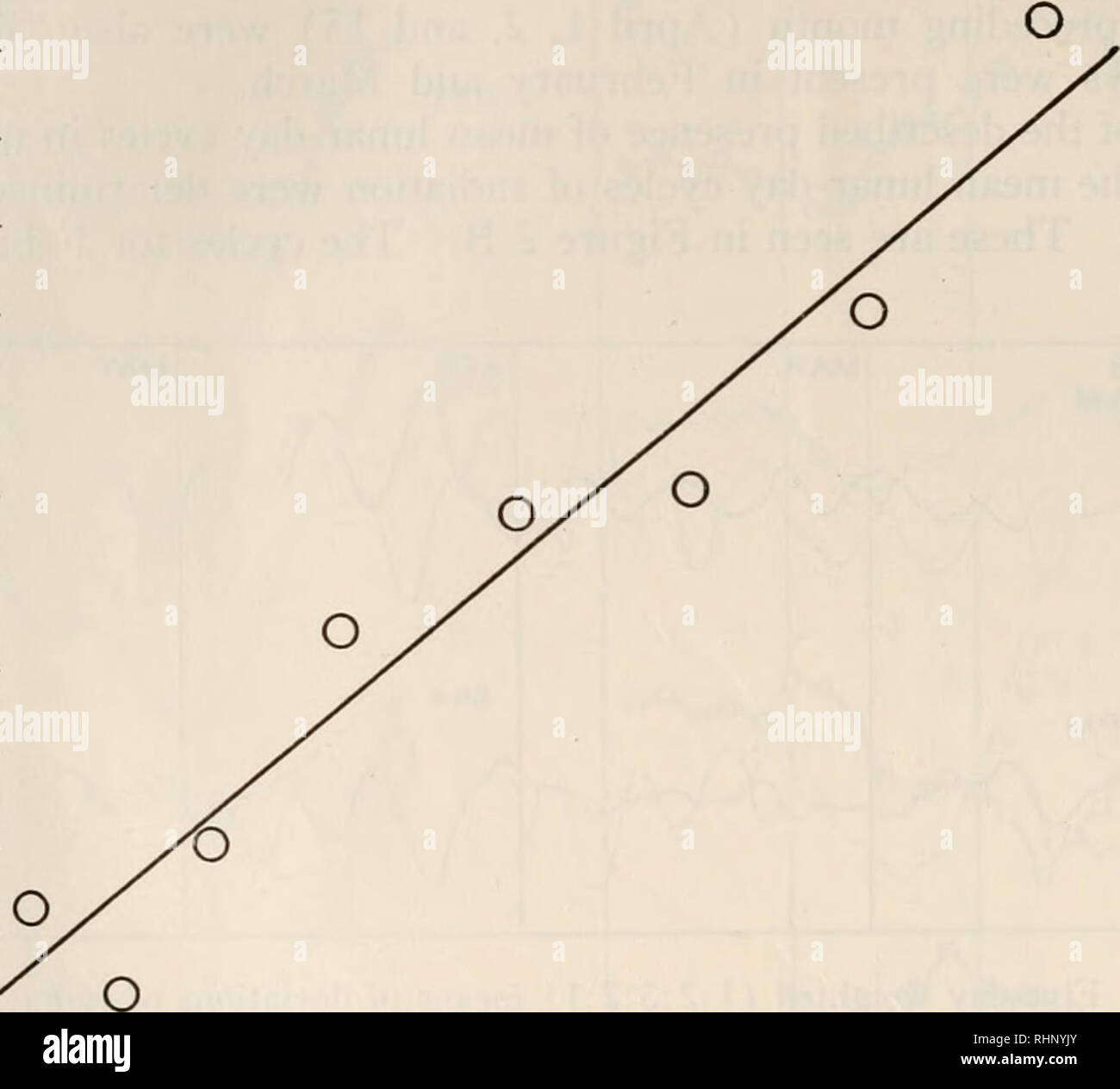 Positive negative scales hi-res stock photography and images - Alamy