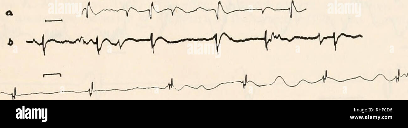 . The Biological bulletin. Biology; Zoology; Biology; Marine Biology ...