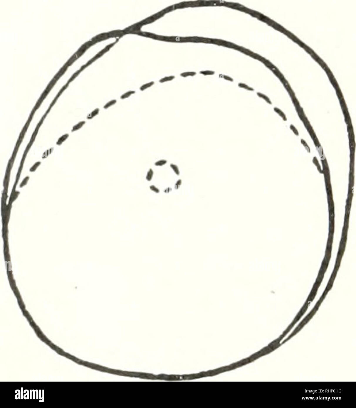 Micro dissection hi-res stock photography and images - Alamy