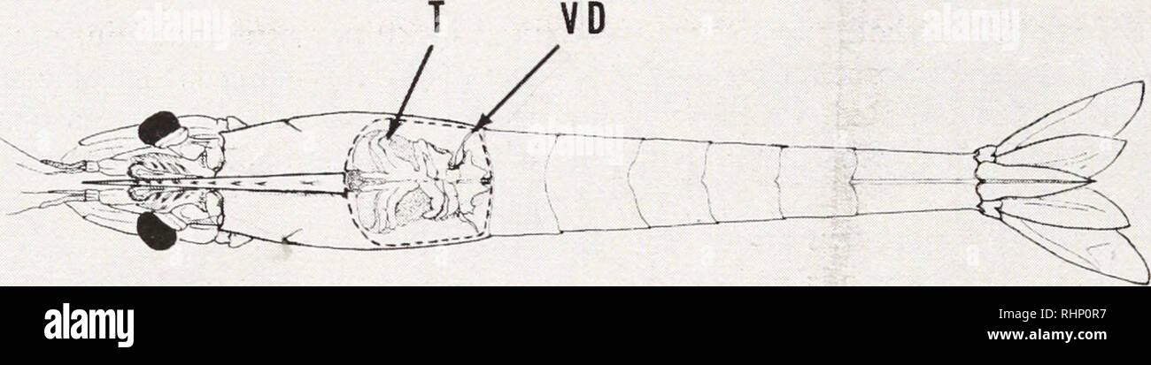 Joseph rattray hi-res stock photography and images - Alamy