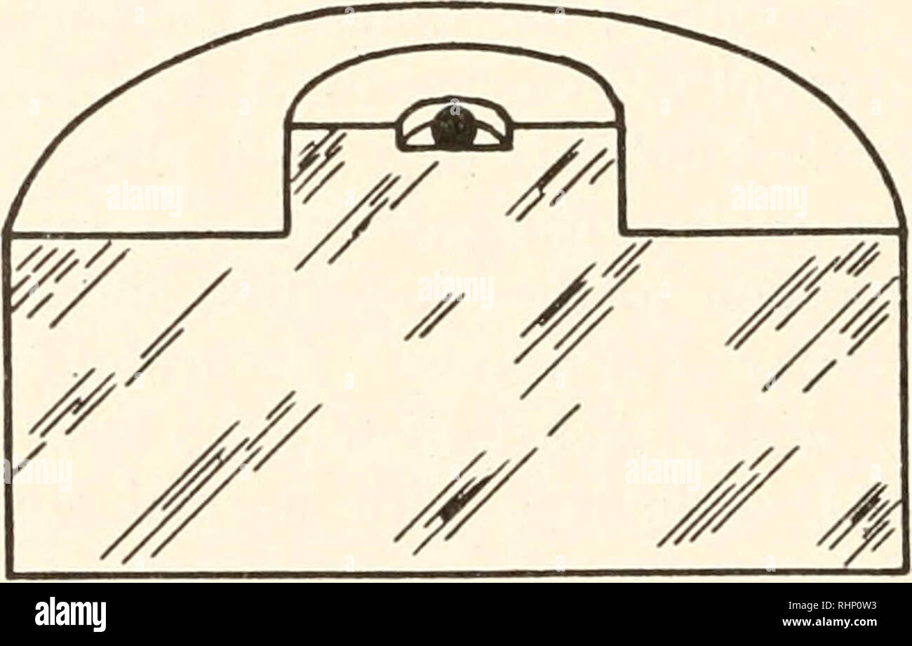 . The Biological bulletin. Biology; Zoology; Biology; Marine Biology ...