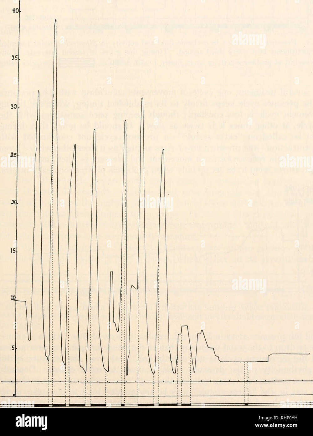 Sipunculus High Resolution Stock Photography and Images - Alamy