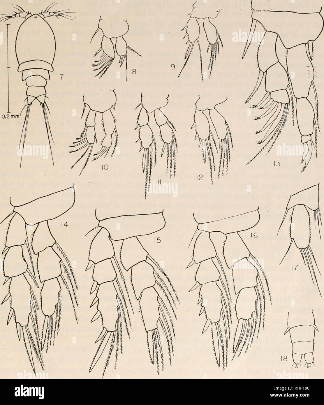 . The Biological bulletin. Biology; Zoology; Biology; Marine Biology ...