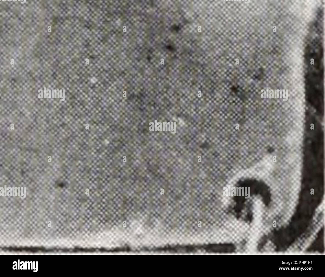 . The Biological bulletin. Biology; Zoology; Biology; Marine Biology ...