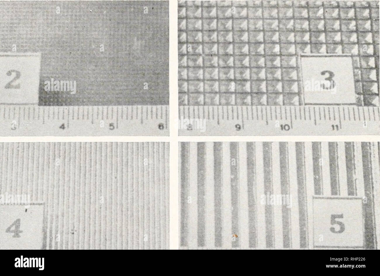 . The Biological bulletin. Biology; Zoology; Biology; Marine Biology ...