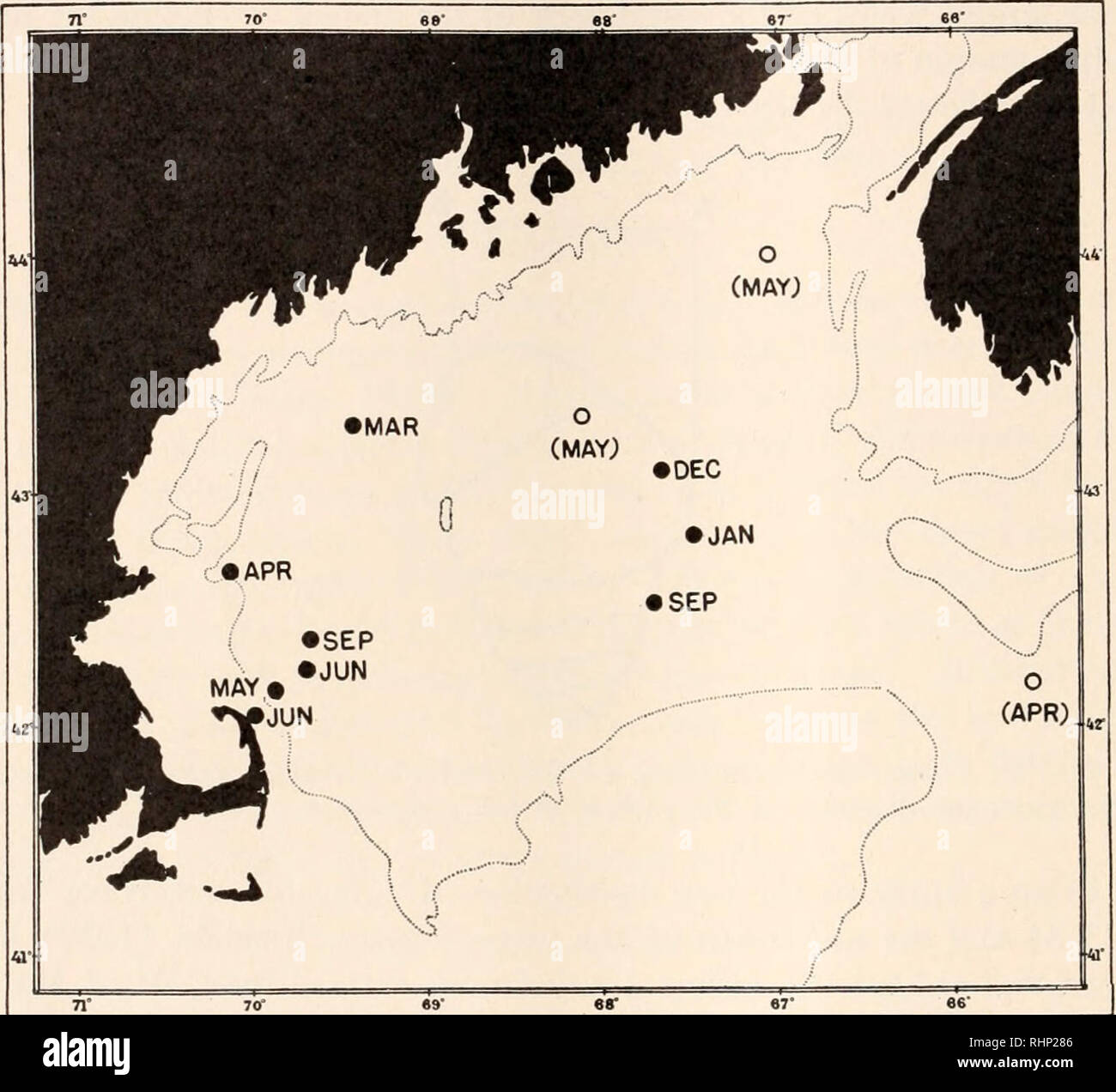 . The Biological bulletin. Biology; Zoology; Biology; Marine Biology ...