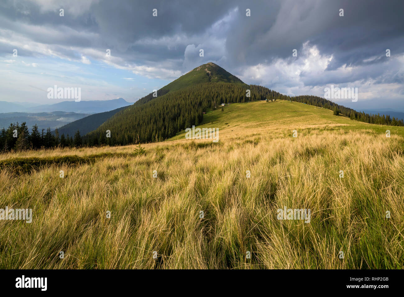 Panoramic view of green grassy valley, pine trees and rural small ...