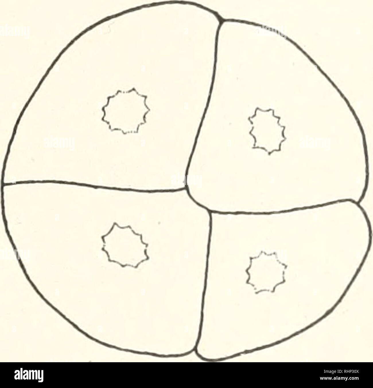 . The Biological bulletin. Biology; Zoology; Biology; Marine Biology ...