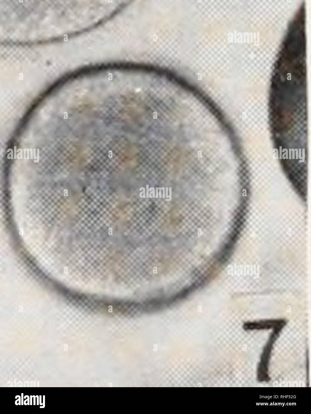 . The Biological bulletin. Biology; Zoology; Biology; Marine Biology ...