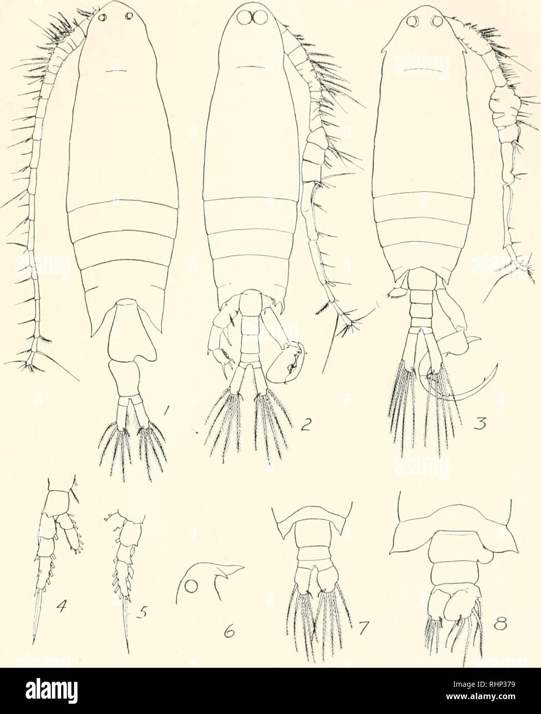 . The Biological bulletin. Biology; Zoology; Biology; Marine Biology ...