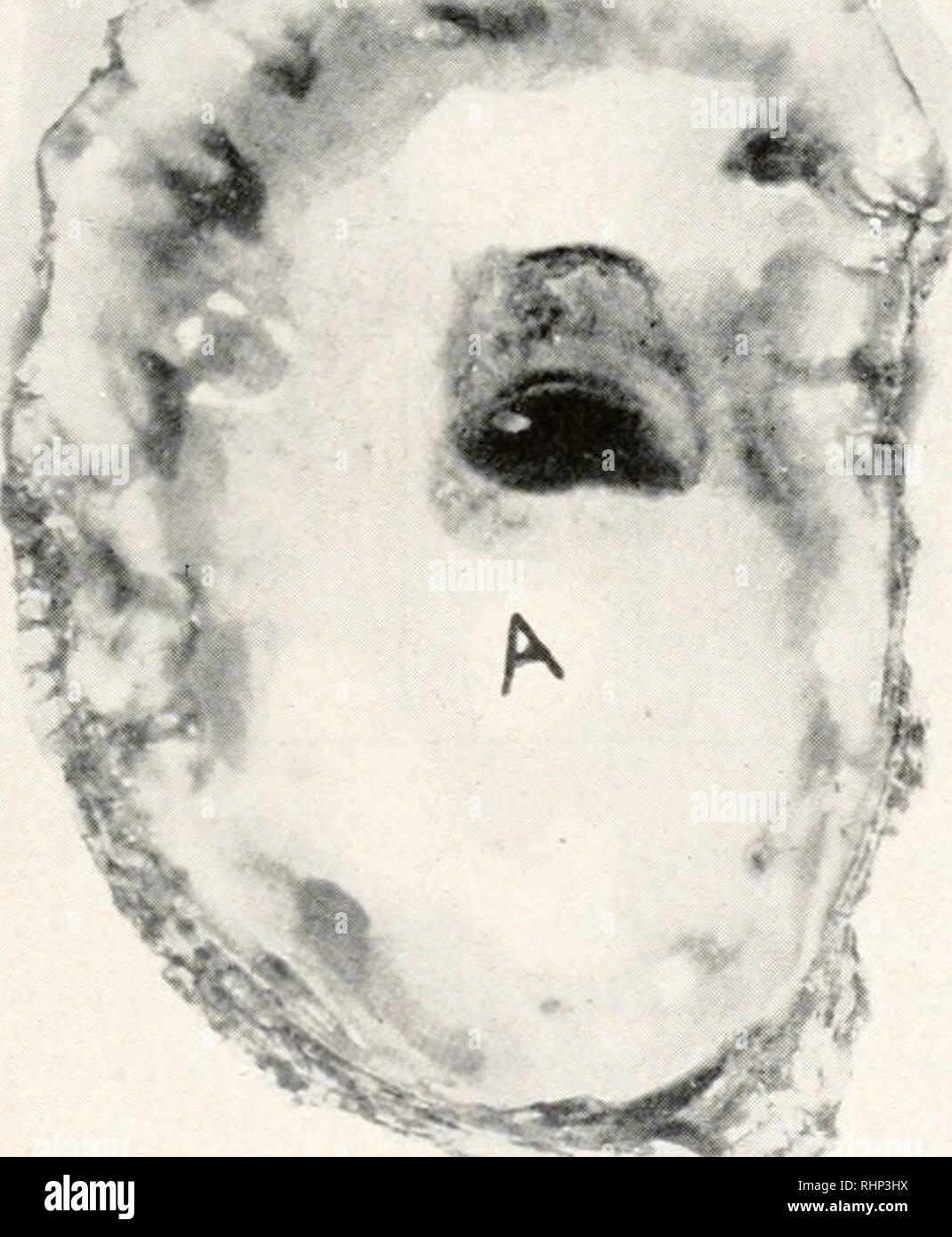 Water sound experiment hi-res stock photography and images - Alamy