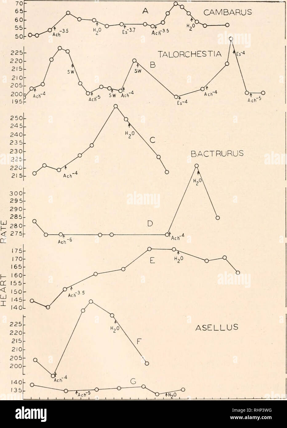 Negative exponents hi-res stock photography and images - Alamy