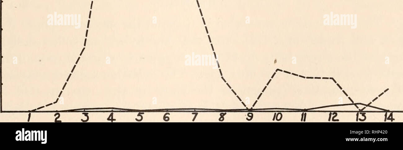 Successive spots hi-res stock photography and images - Alamy