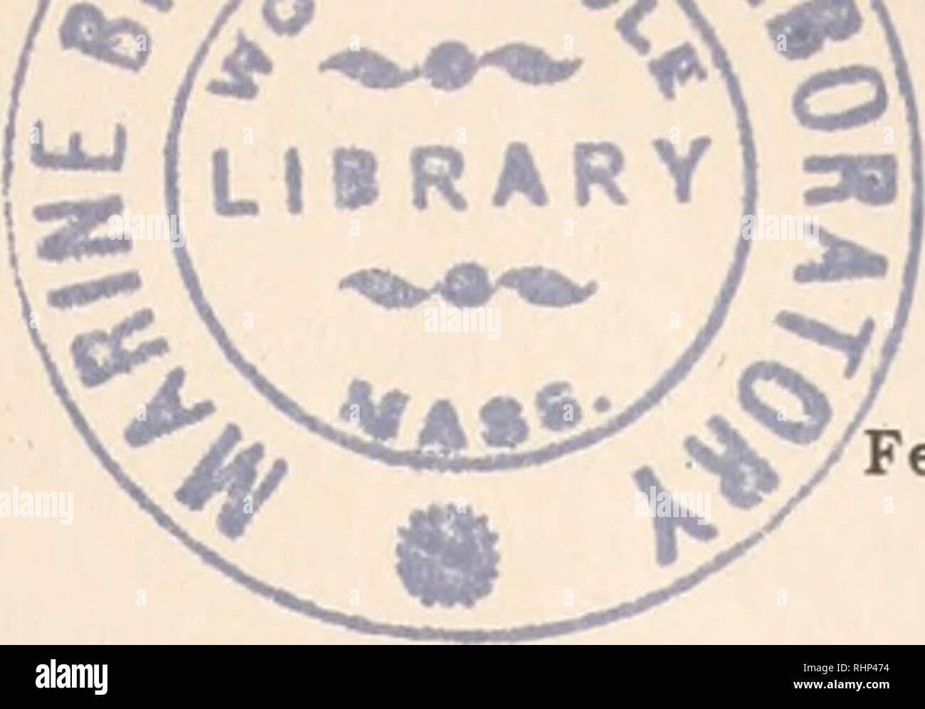Leo loeb hi-res stock photography and images - Alamy