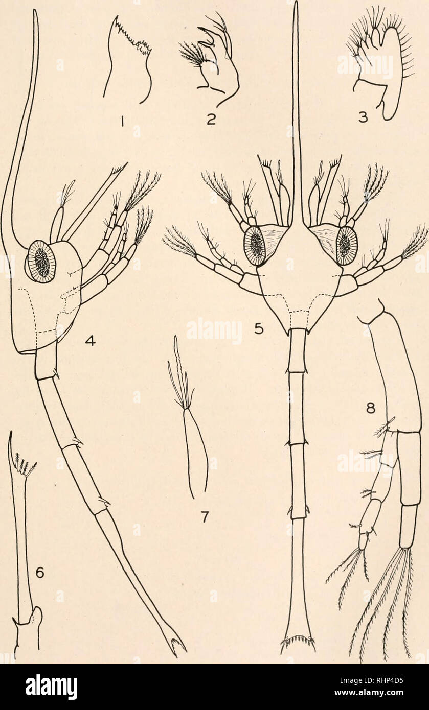 . The Biological bulletin. Biology; Zoology; Biology; Marine Biology ...